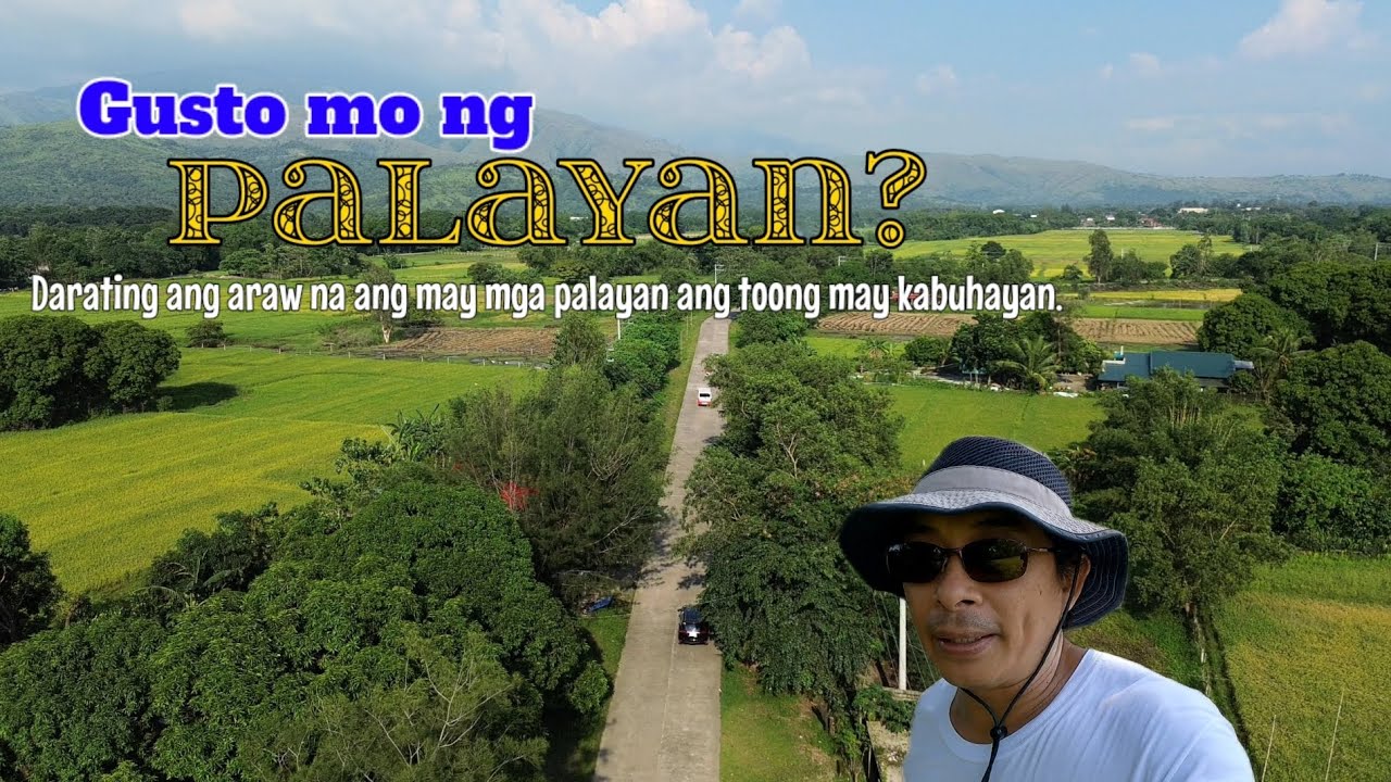 Palayan sa Zambales - YouTube