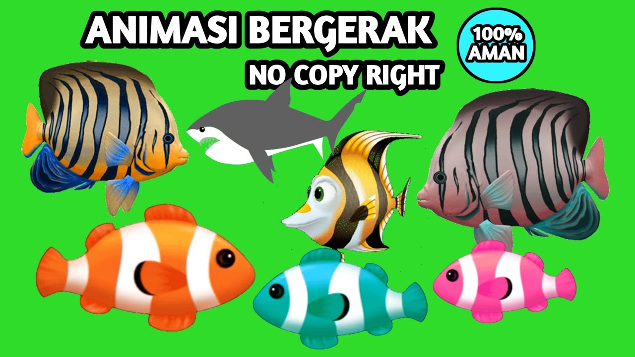 green screen ikan green screen fish animasi bergerak animasi berjalan ...