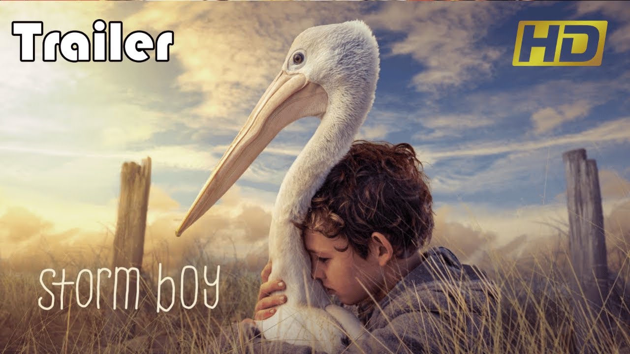 Storm Boy 2019 | Official Trailer - YouTube
