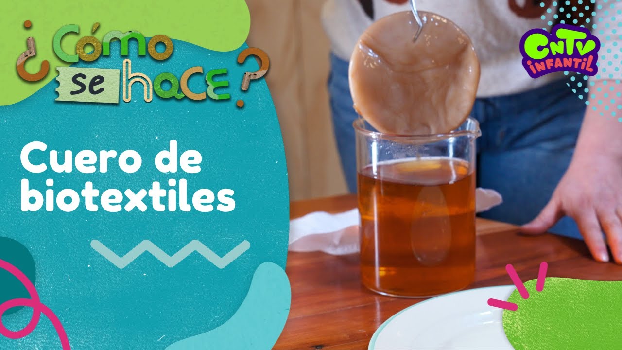 Cuero de biotextiles ¿Cómo se hace? T2 - YouTube
