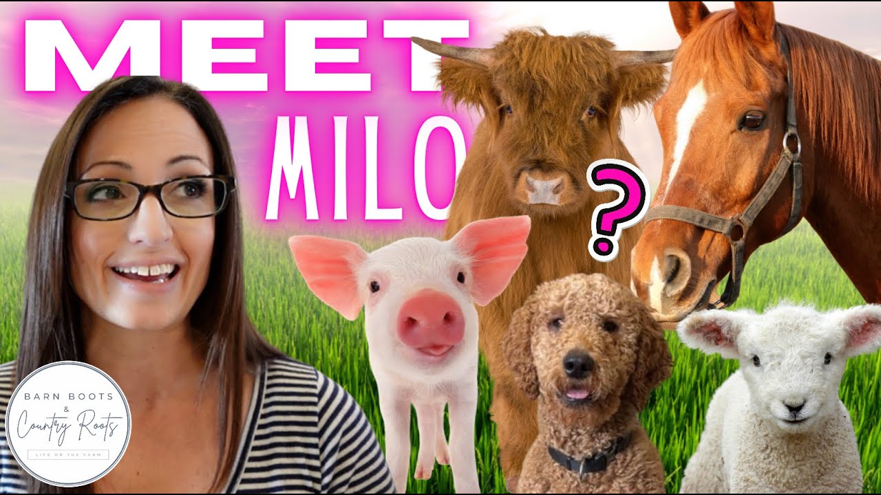 A NEW ANIMAL JOINS THE FARM - MEET MILO! | VLOG - YouTube