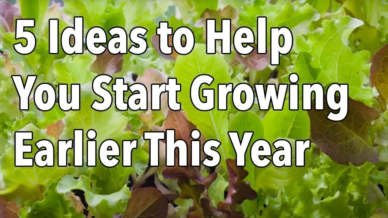 5 Ideas to Help You Start Growing Earlier This Year - YouTube