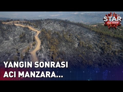 Yangın Fırtınası Dindi! Orman Yangınları Kontrol Altına Alındı