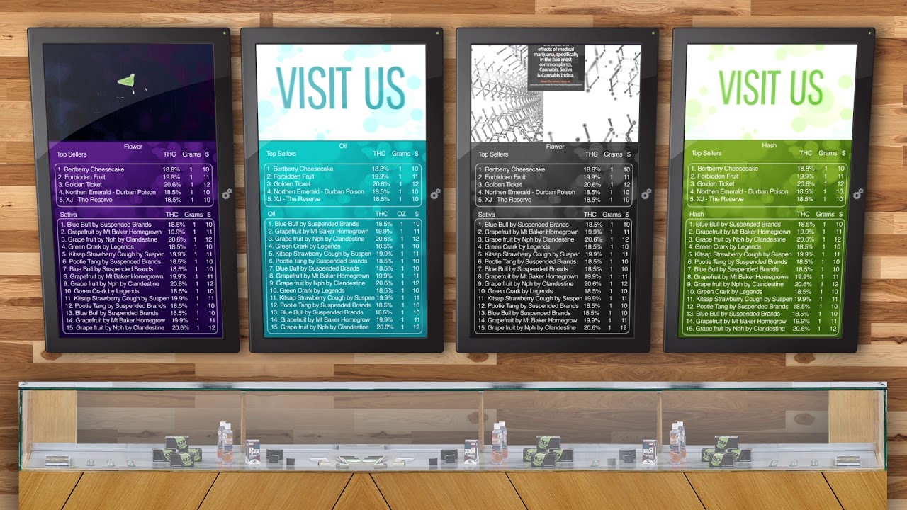 Budvue Vertical Screen TV Demo - YouTube