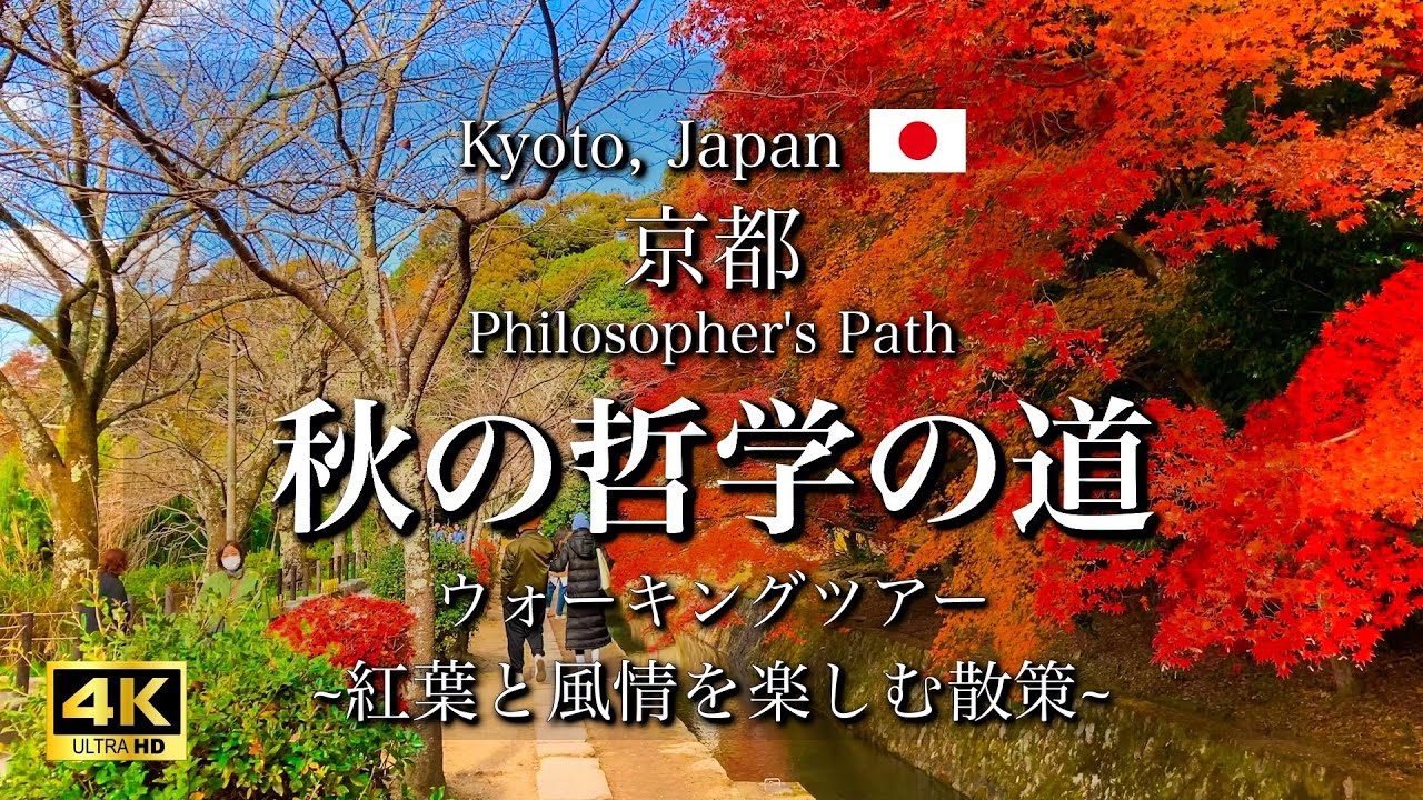 Philosopher's Path Walking Tour in Kyoto, Japan | Autumn Leaves and Beautiful Scenery [4K] - YouTube