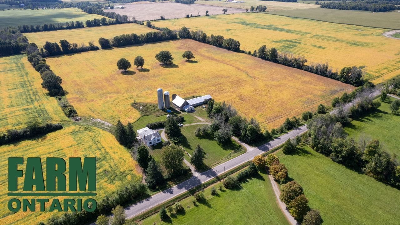 2585 Ramsay Concession, Almonte | Farms For Sale In Ontario - YouTube