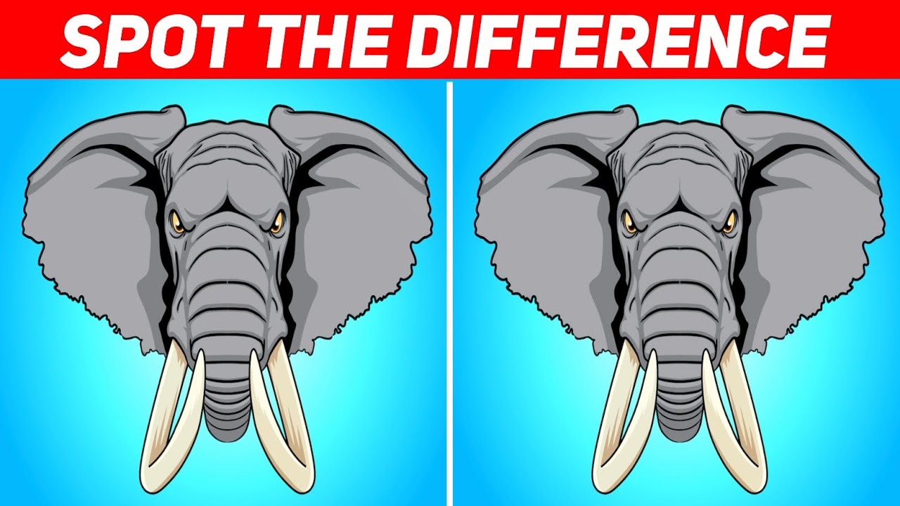 Spot The Difference : Can You Find Them All ? [Find the difference] #19 ...