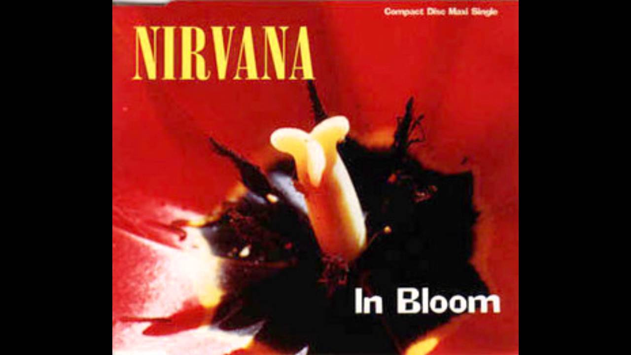 Nirvana In Bloom Cover - YouTube