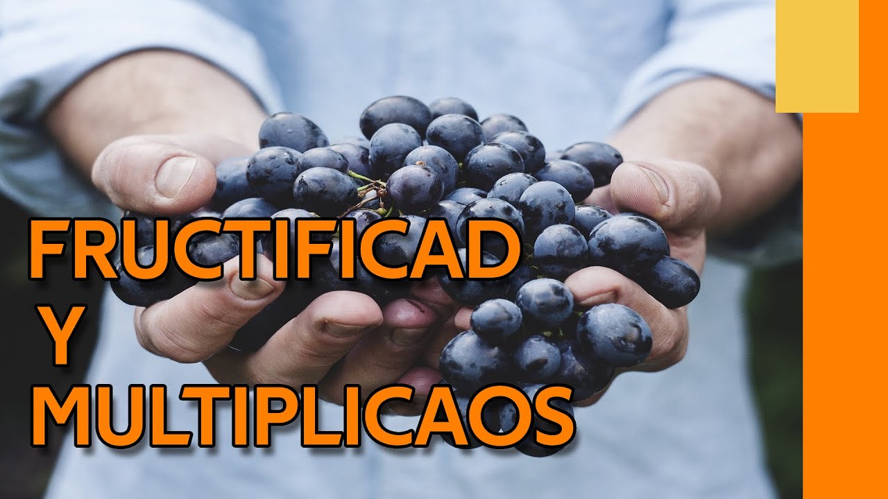 Fructificad y multiplicaos - YouTube