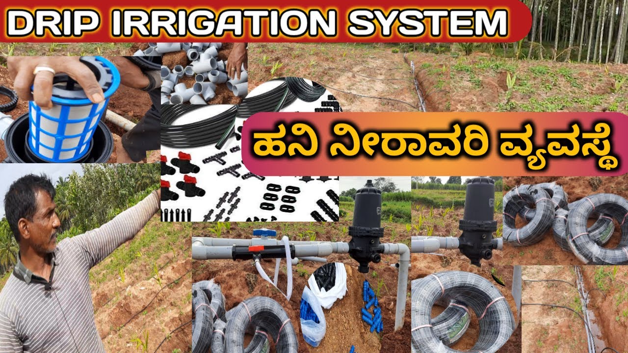 Drip Irrigation System in 2022 | Drip irrigation model | ಹನಿ ನೀರಾವರಿ ...