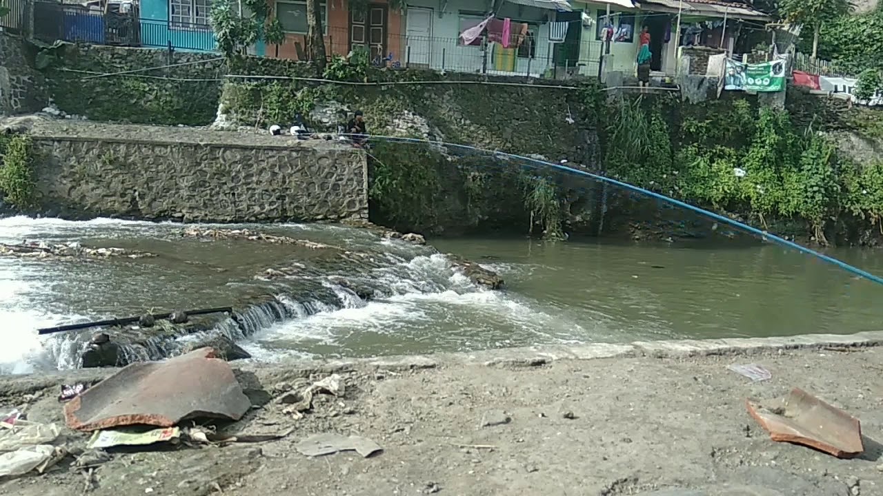 Mnncing Di bawah Rel kereta Api...strek Labi labi Ganas - YouTube