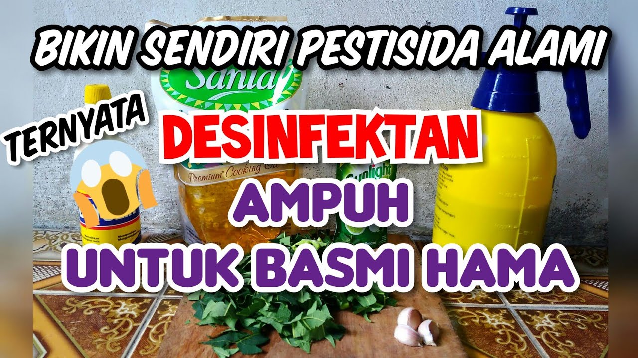 Tau Gak ? Ternyata Desinfektan Ampuh Juga Untuk Basmi Hama dan Jamur ...