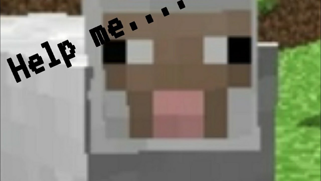 How to make a sheep penetration machine (walkthrough) - YouTube