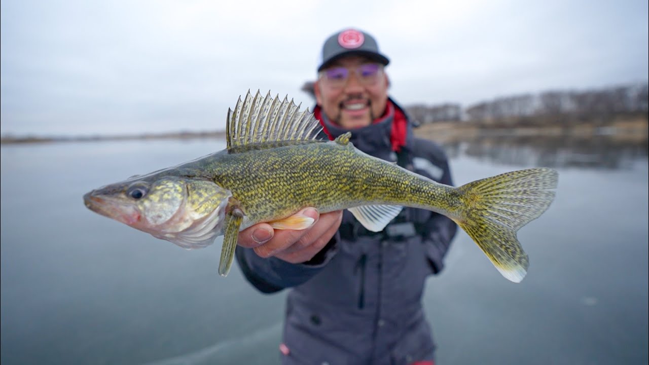 Early Ice Walleye Fishing on THIN ICE! (Underwater Footage) - YouTube