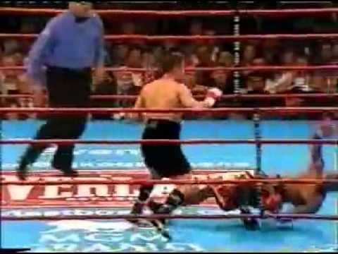 Boxer do the wobble - YouTube