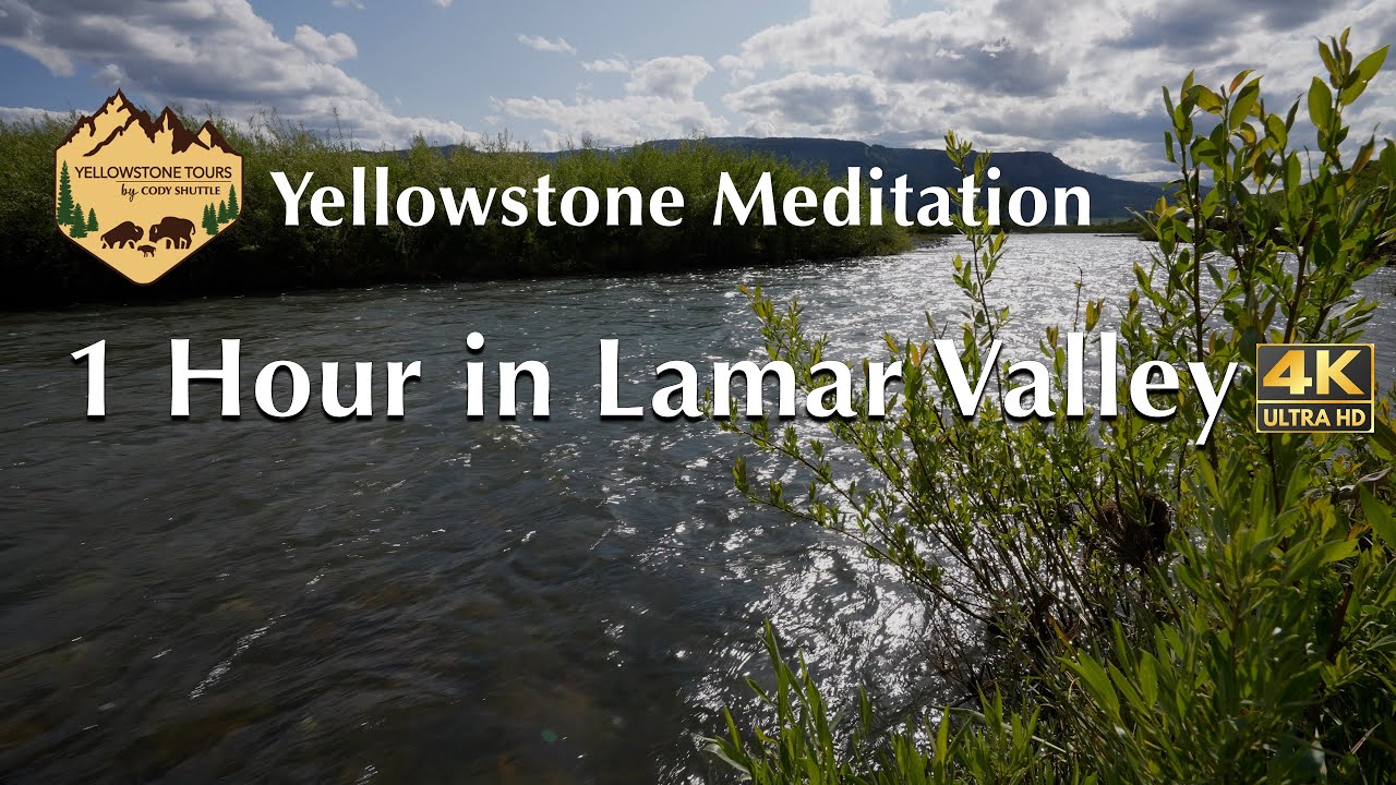 Yellowstone Meditation: 1 Hour in Lamar Valley (4K with HQ Audio) with ...