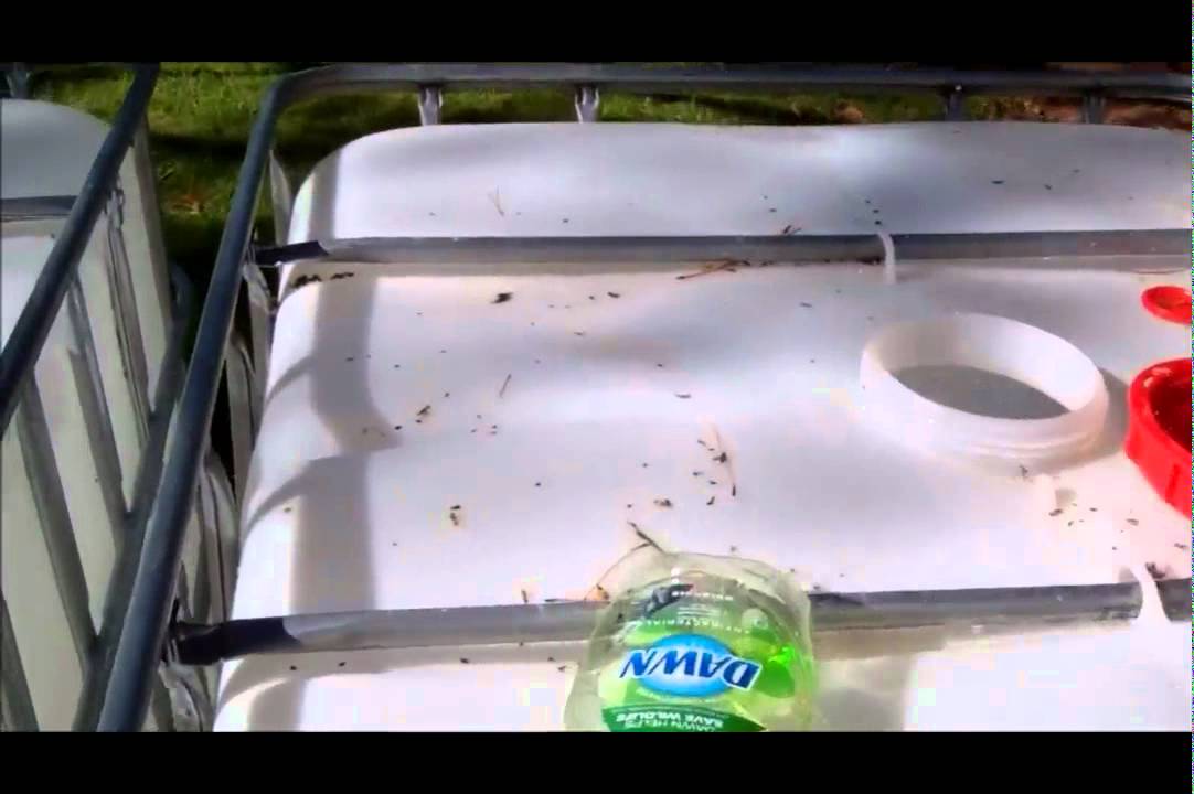 Cleaning The Water Storage Totes - YouTube