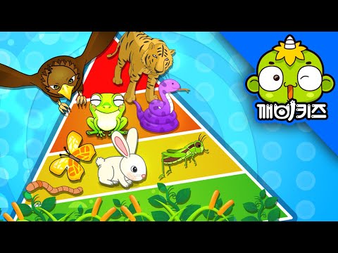 과학송 - 먹이연쇄송｜과학노래, 과학동요｜ [깨비키즈 KEBIKIDS] | 깨비 인기송 동요 | 초등과학 - YouTube