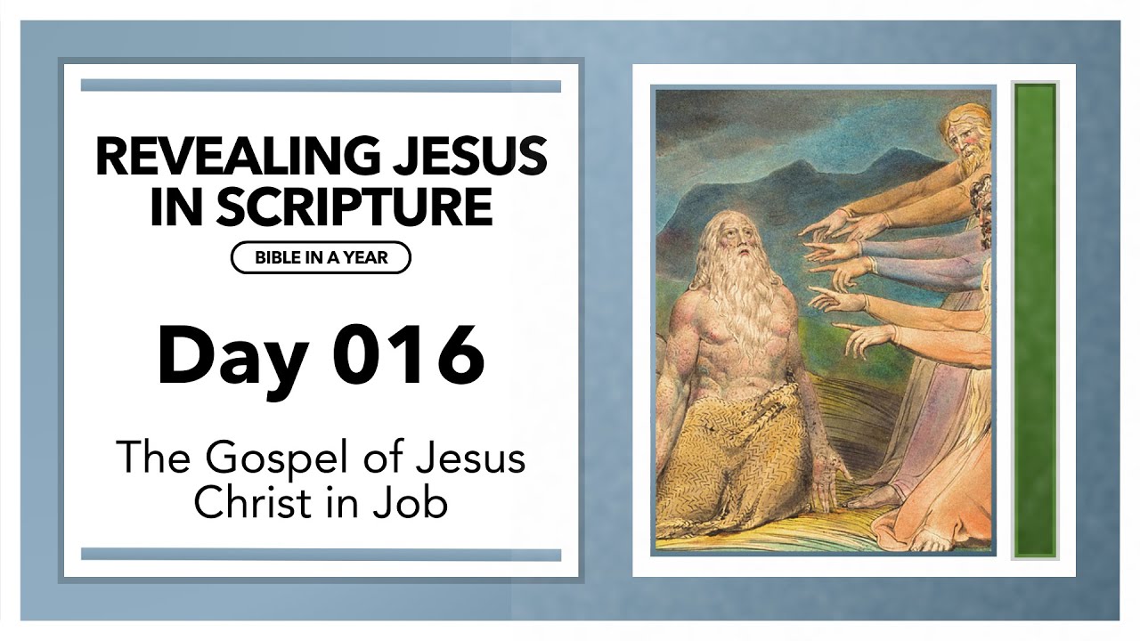 Day 16 - The Gospel of Jesus Christ in Job | Revealing Jesus In ...