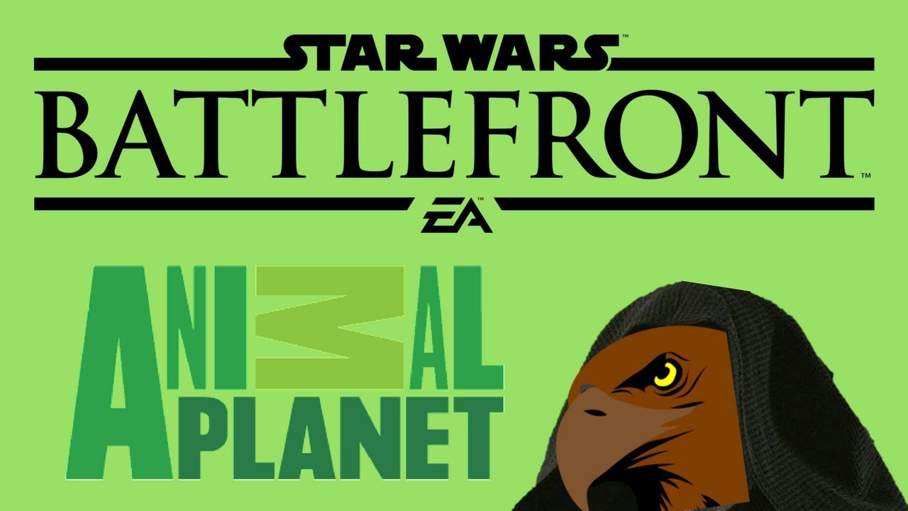 Bird of Prey - The Palpatine Emperor Hawk - YouTube