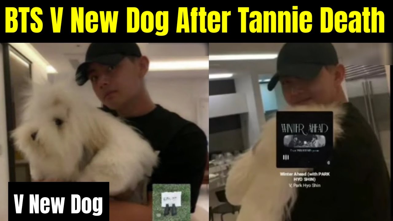 BTS V New Dog After Tannie Death 😭 | V Buy New Dog - YouTube