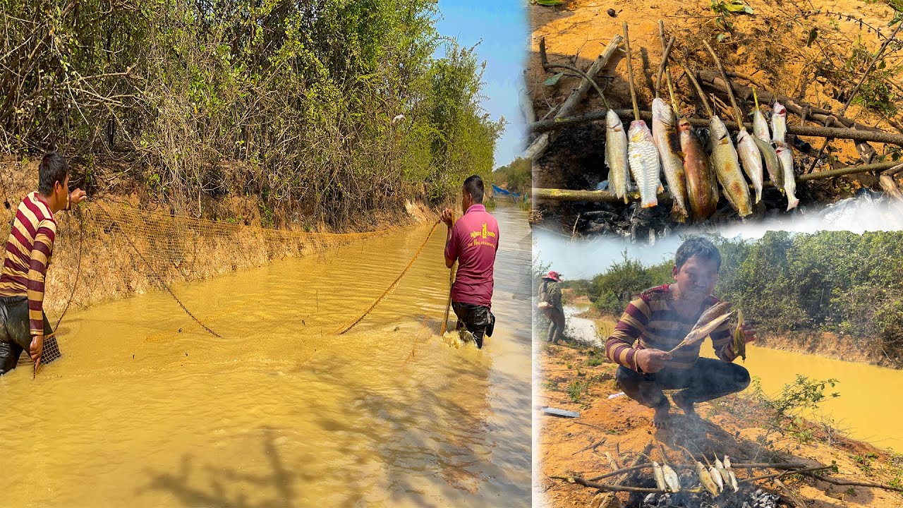 Fisherman Cast Net Fishing Real Life Amazing Fishing At Countryside ...