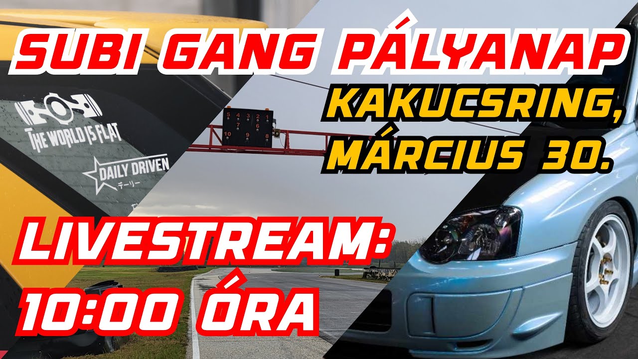 SUBI GANG PÁLYANAP A KAKUCSRINGEN - YouTube