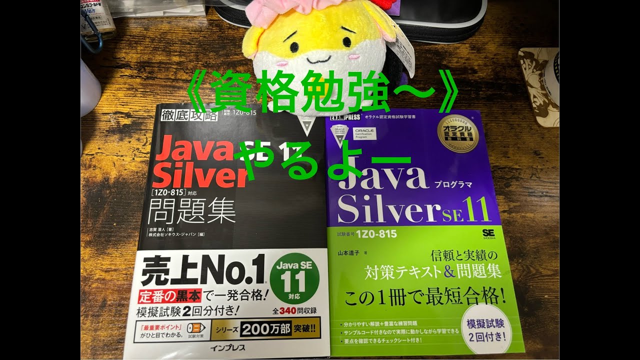 【資格勉強】Java Silverを一発合格したい！ - YouTube