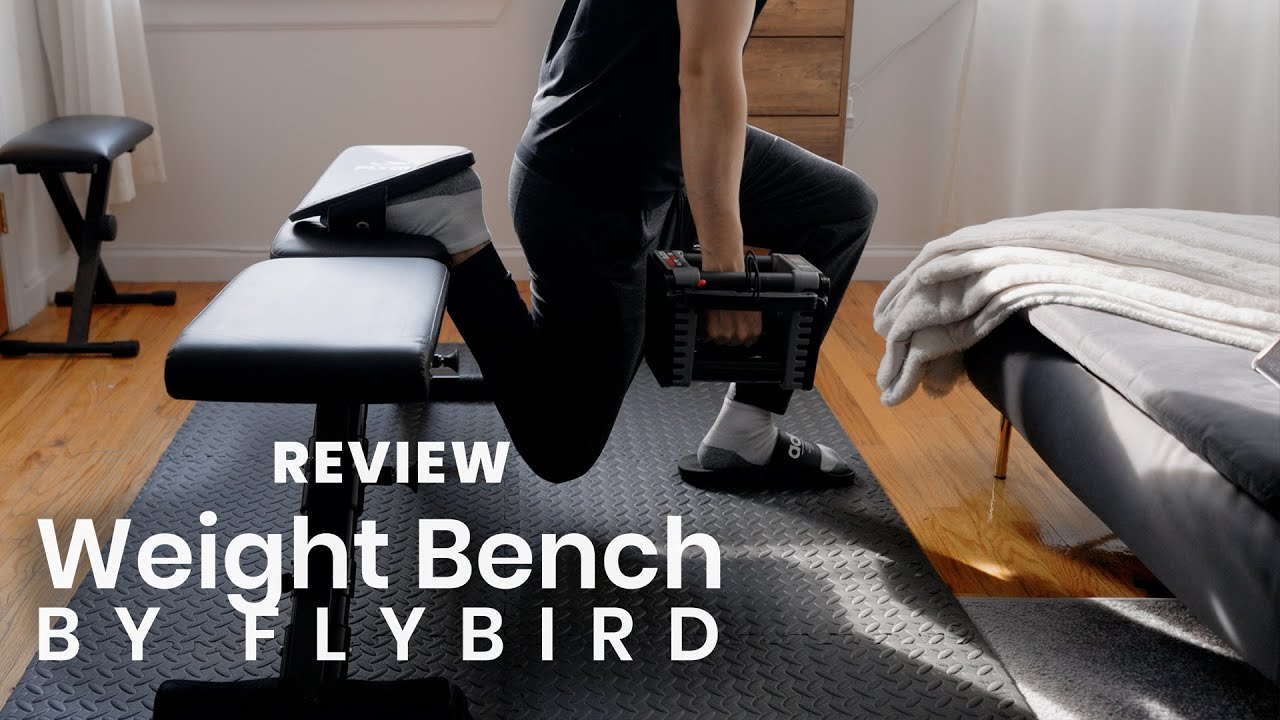 WANT a Perfect Workout? This Flybird Bench Review Will Help - YouTube