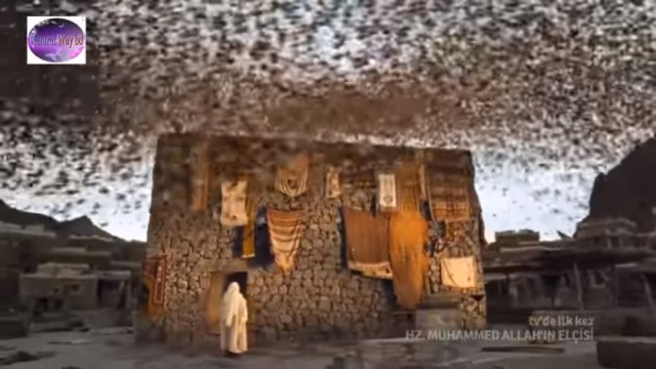 How to protected Mecca by Allah with the help of Ababil birds!💙 - YouTube