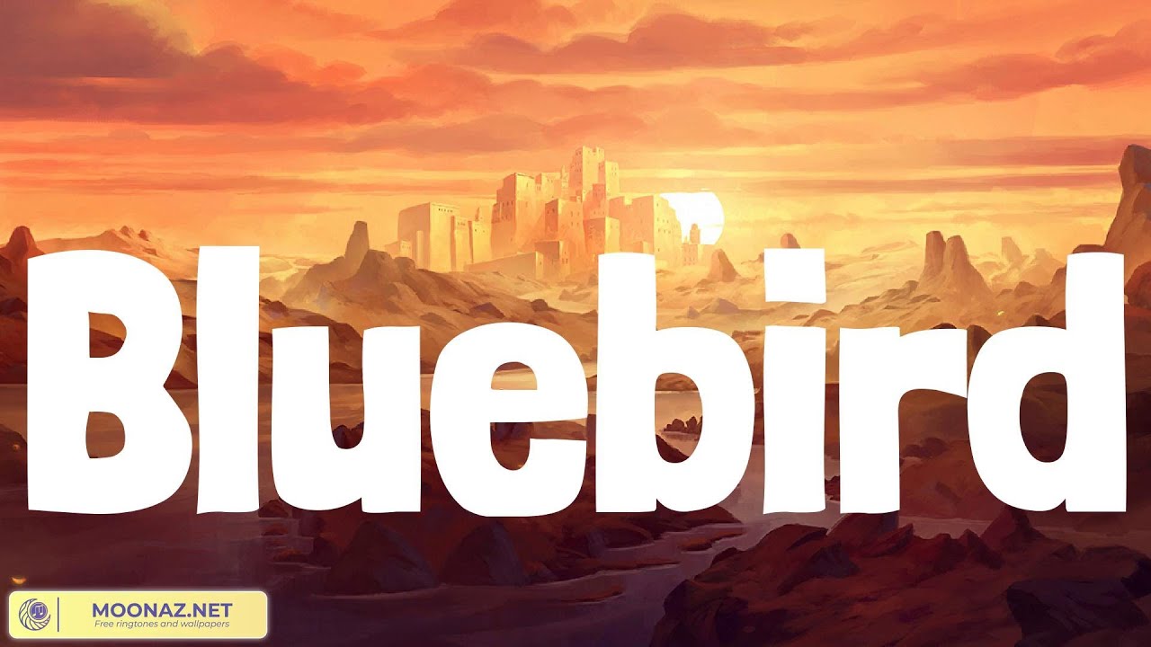 Bluebird (Lyrics Mix) Miranda Lambert, Rascal Flatts, Cody Johnson ...