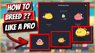Axie Infinity - breeding like a PRO ! how to breed! (pa... | Doovi