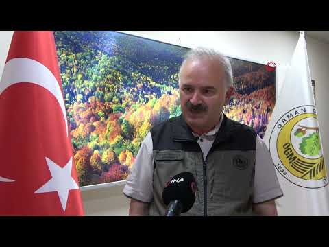 Kastamonu’nun ‘büyük felaketi’ ders oldu!