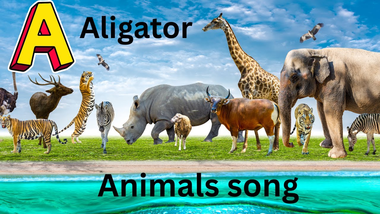 A for alligator, Animal Alphabet Song – Learn ABCs with Fun Animals ...