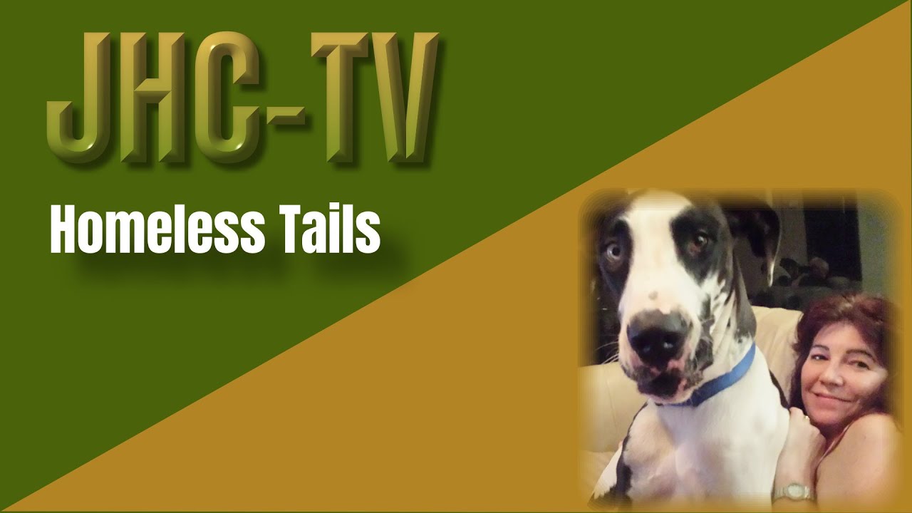 Homeless Tails - YouTube
