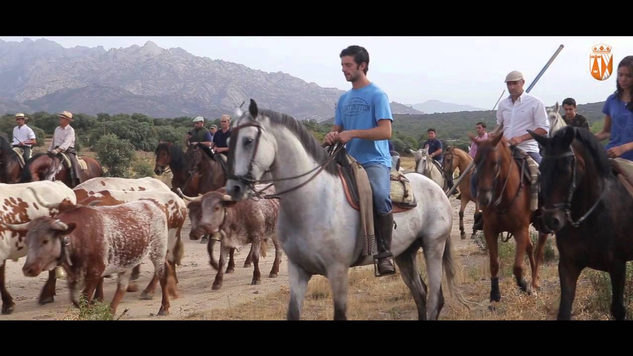 Fiestas de Cerceda -Madrid- Verano 2015 - YouTube