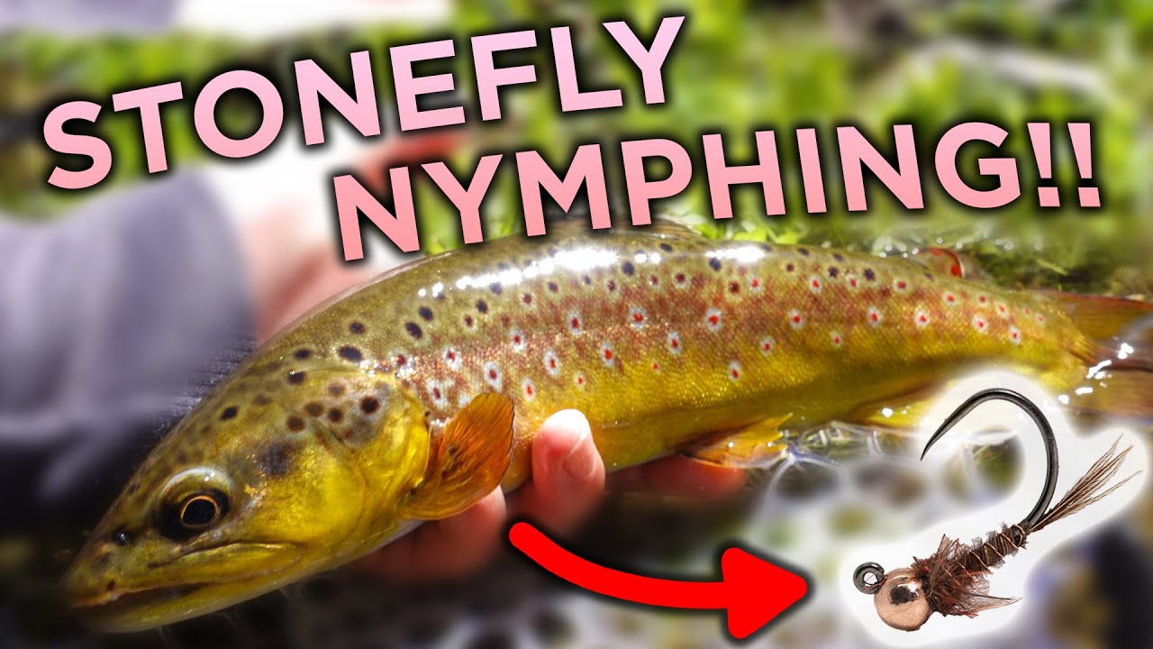 SPRING STONEFLY NYMPHING!! Euro Nymphing Brown Trout - YouTube