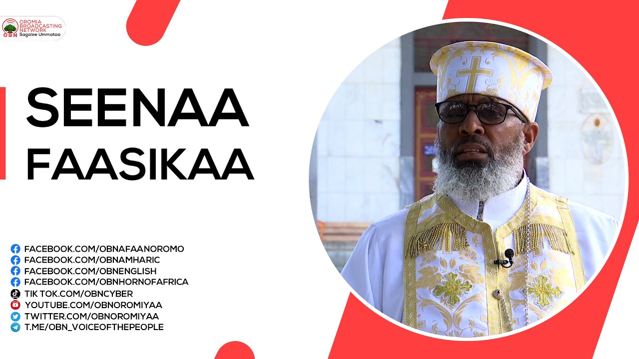 Seenaa Faasikaa - YouTube