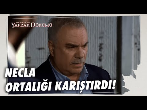 Necla Yemek Davetini Unuttu! - Yaprak Dökümü Özel Bölüm