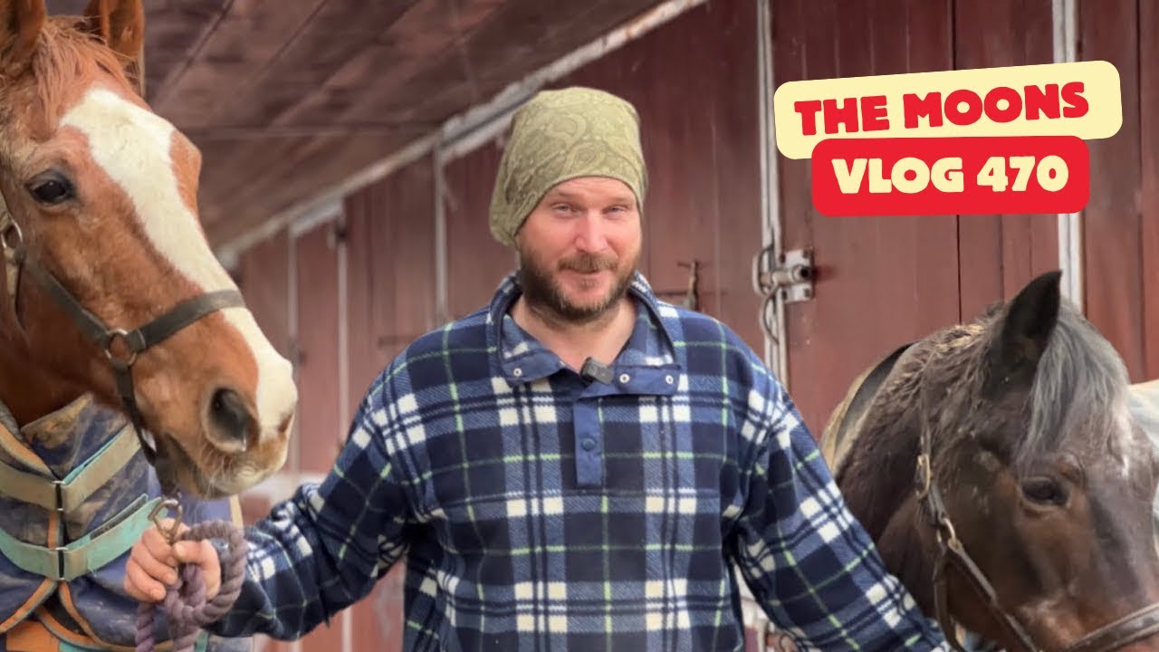 Barn Finished & A Visit to the New Stables - YouTube