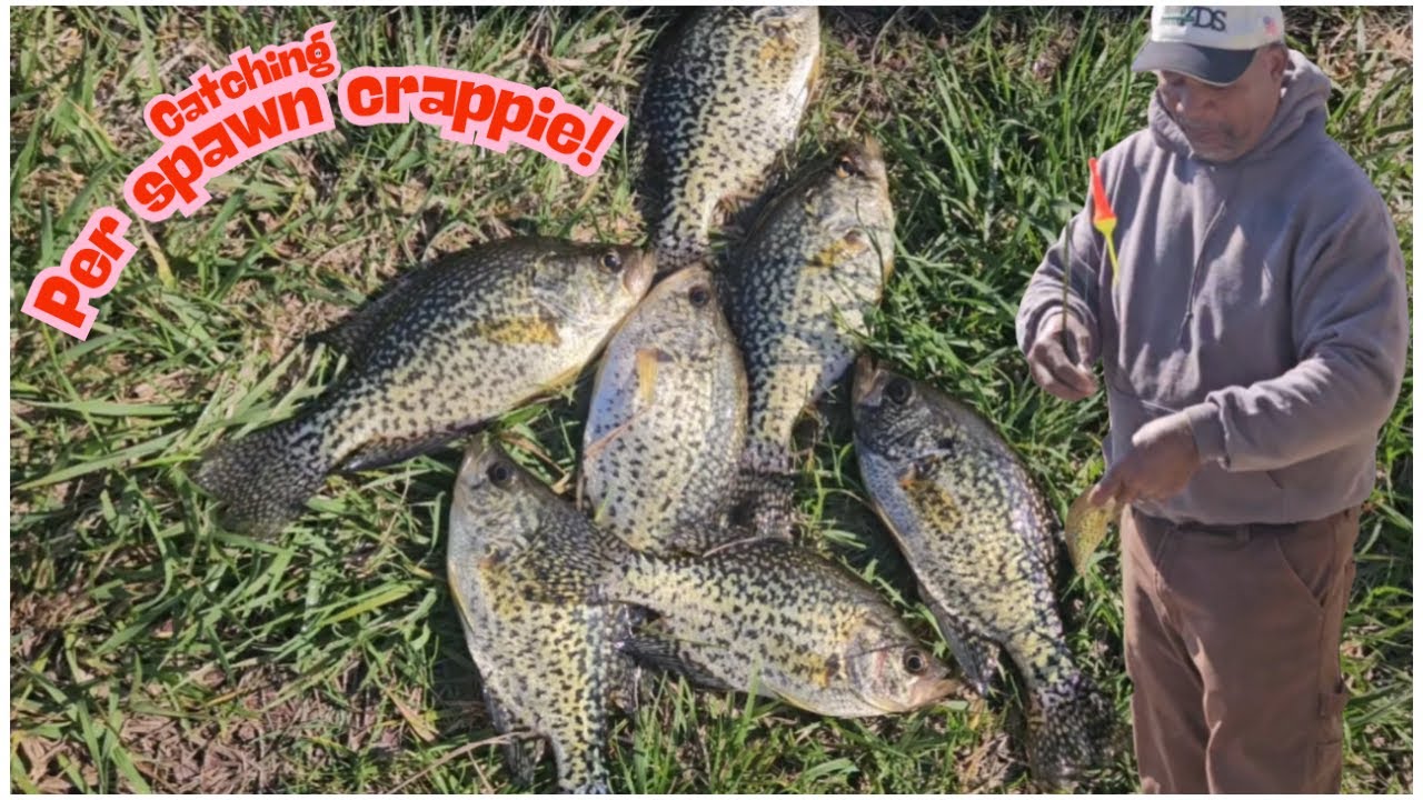 Catching Pre spawn crappie - YouTube