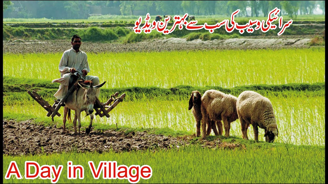 Beauty of Rural Area | Pakistan Village View | Desert Village Life ...