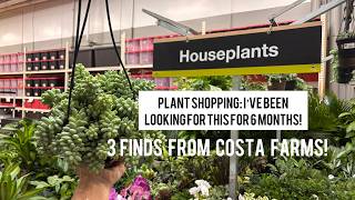 Plant Shopping: 3 Finds from Costa Farms