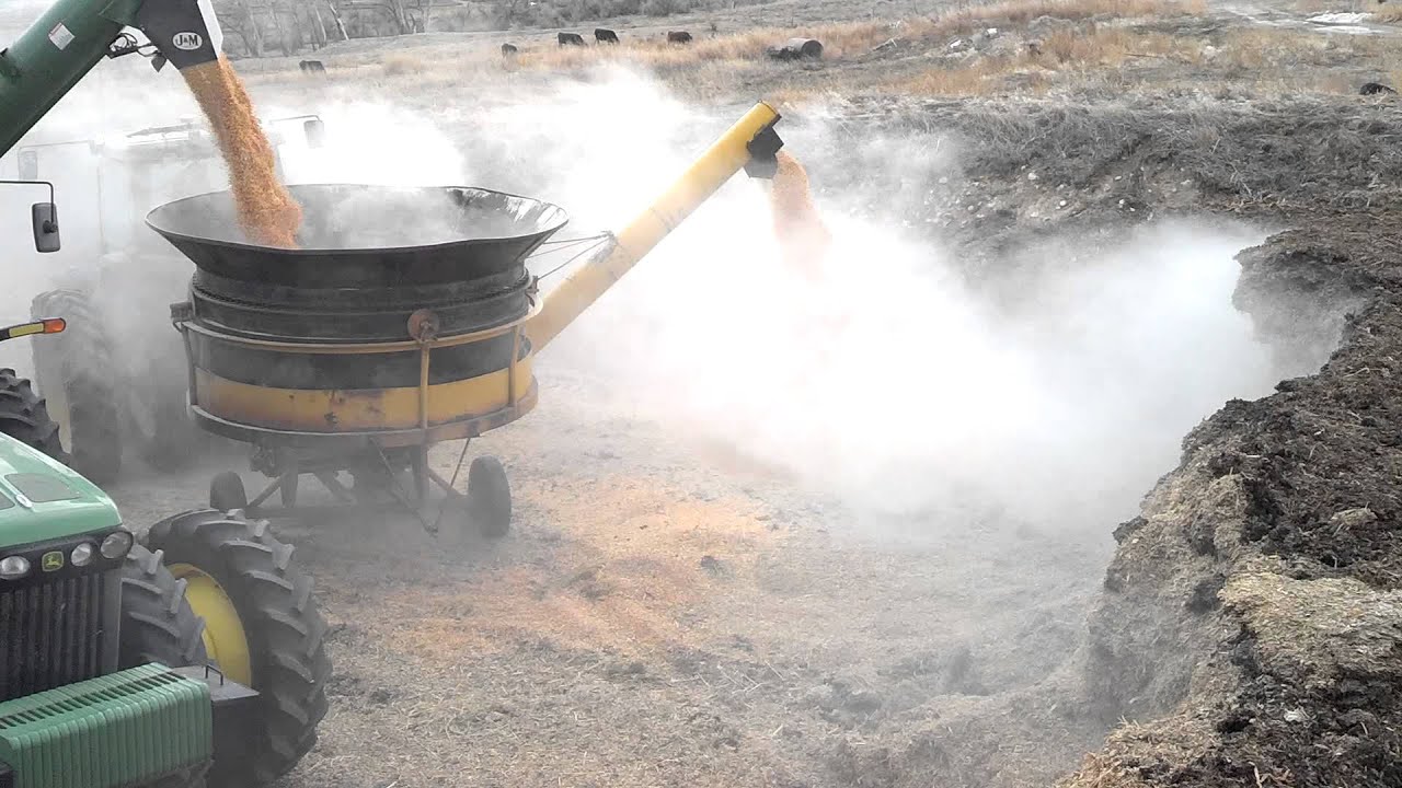 Grinding corn with tub grinder from grain cart behind 8420 - YouTube
