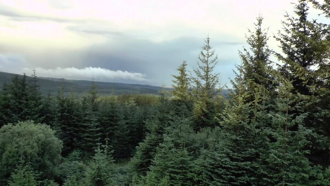 Kielder Forest walk and wild camp - YouTube