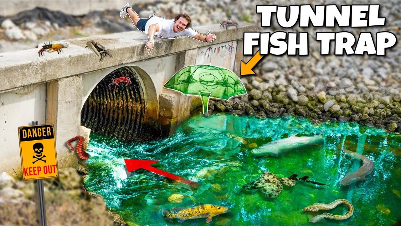 Do FISH Live Inside This Hidden Tunnel? *FISH TRAP* - YouTube