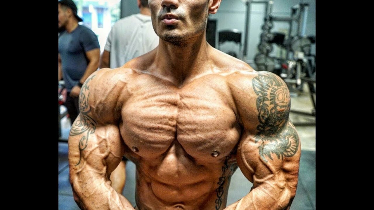 SHADOW Bodybuilding Motivation 2k18 / Fitness Freaks / DW 333 - YouTube