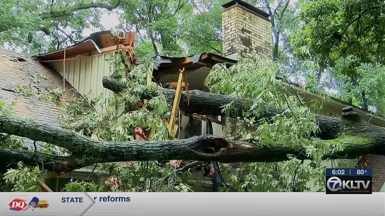 Tyler woman nearly hit by tree falling through 2-story home - YouTube