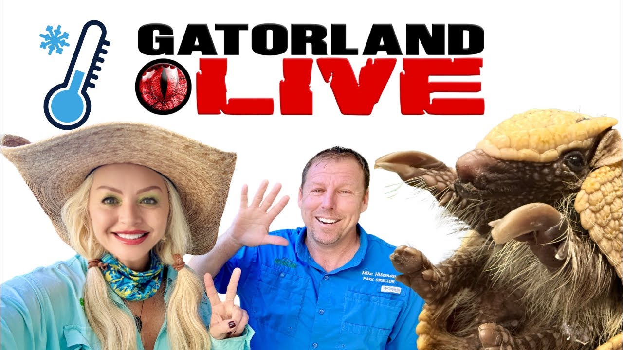Cold Florida Weather & Suprise Animals! - YouTube