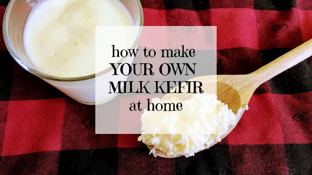 How to Make Your Own Milk Kefir at Home - YouTube